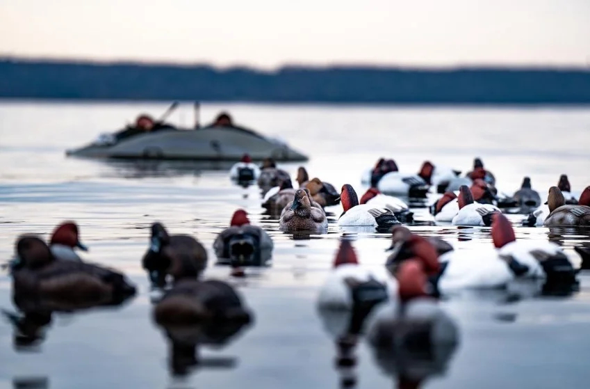 The Evolution of The Waterfowl Hunters Expo: Preserving Tradition ...
